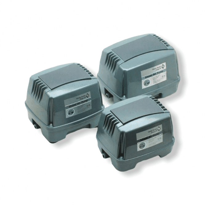 Charles Austen Air Pumps – Queni Koi